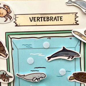 Activity for Sorting Vertebrate and Invertebrate Marine Animals ...