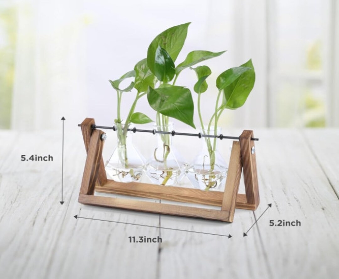 3 Bulb Plant Propagation Station, Plant Terrarium With Wooden Stand ...