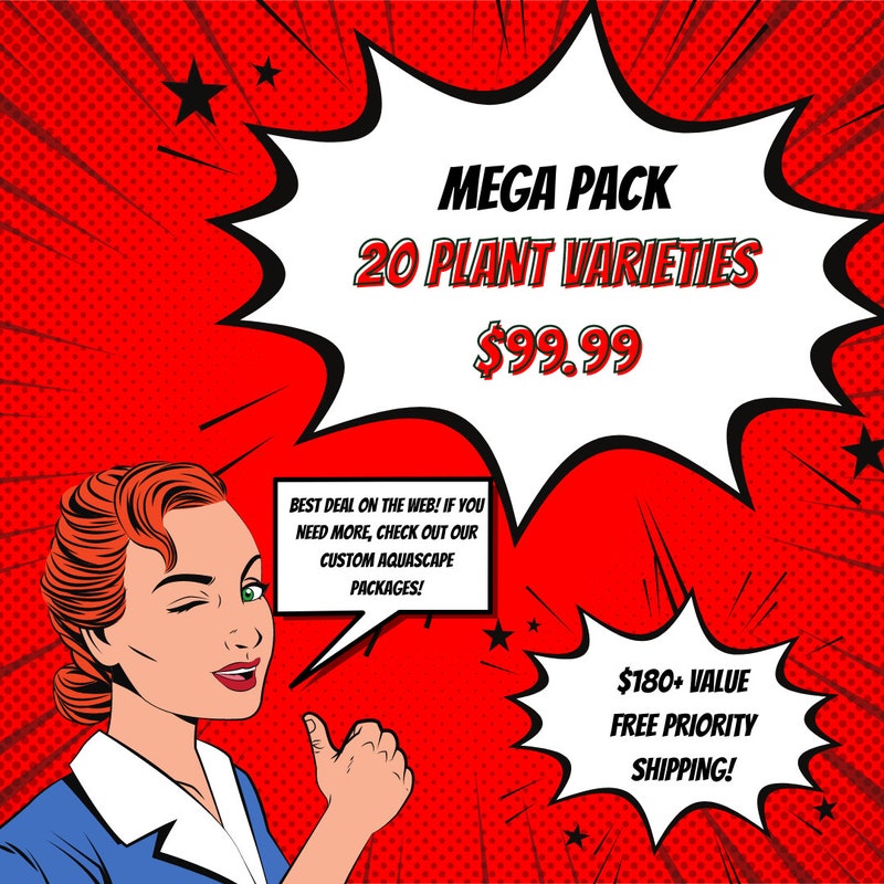 Huge Red Fish - Etsy