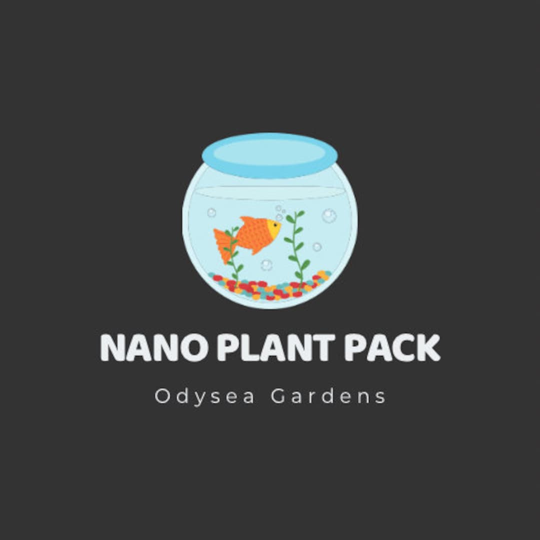 Nano Plant Pack Submerged Live Aquarium Plants - Etsy