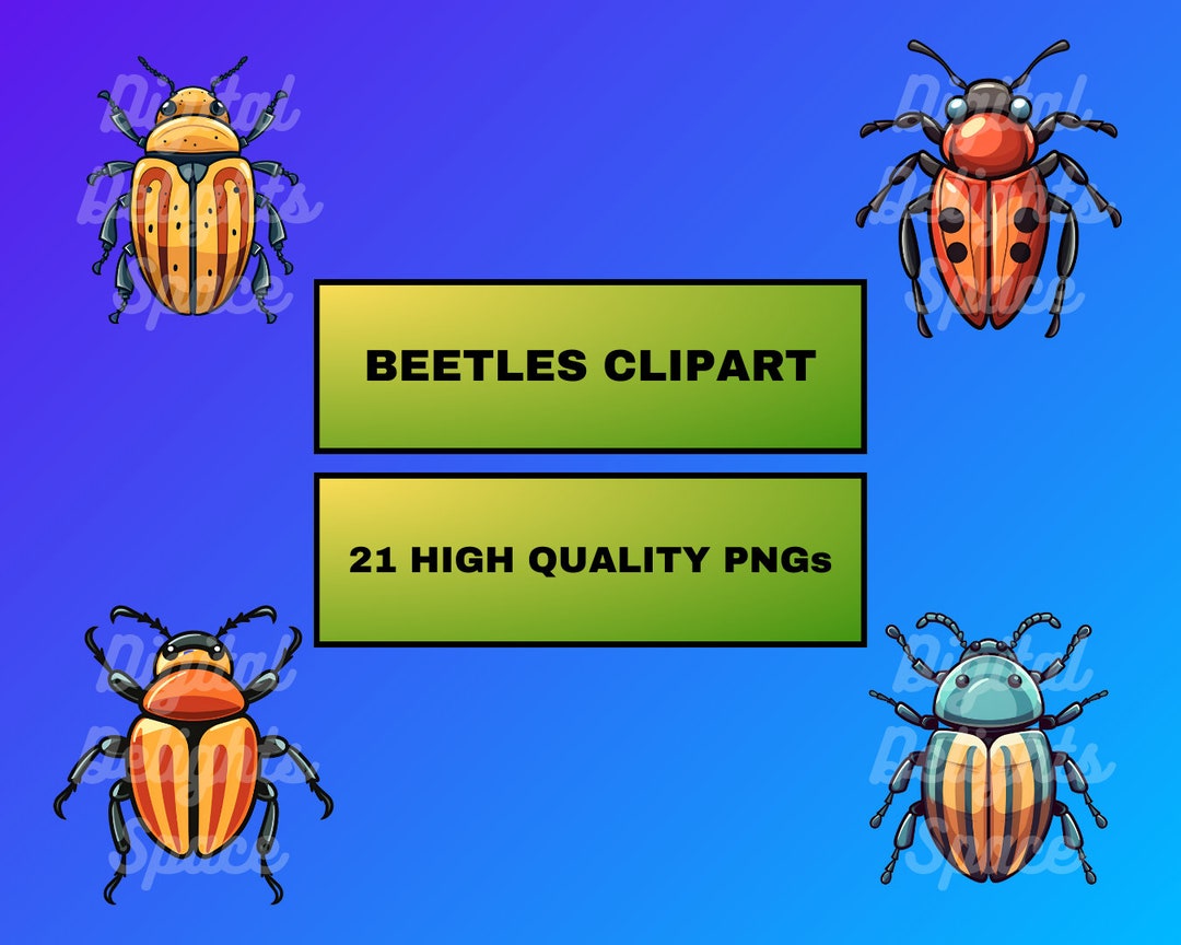 Cartoon Beetles Clipart High-quality JPG Beetles Beetle - Etsy