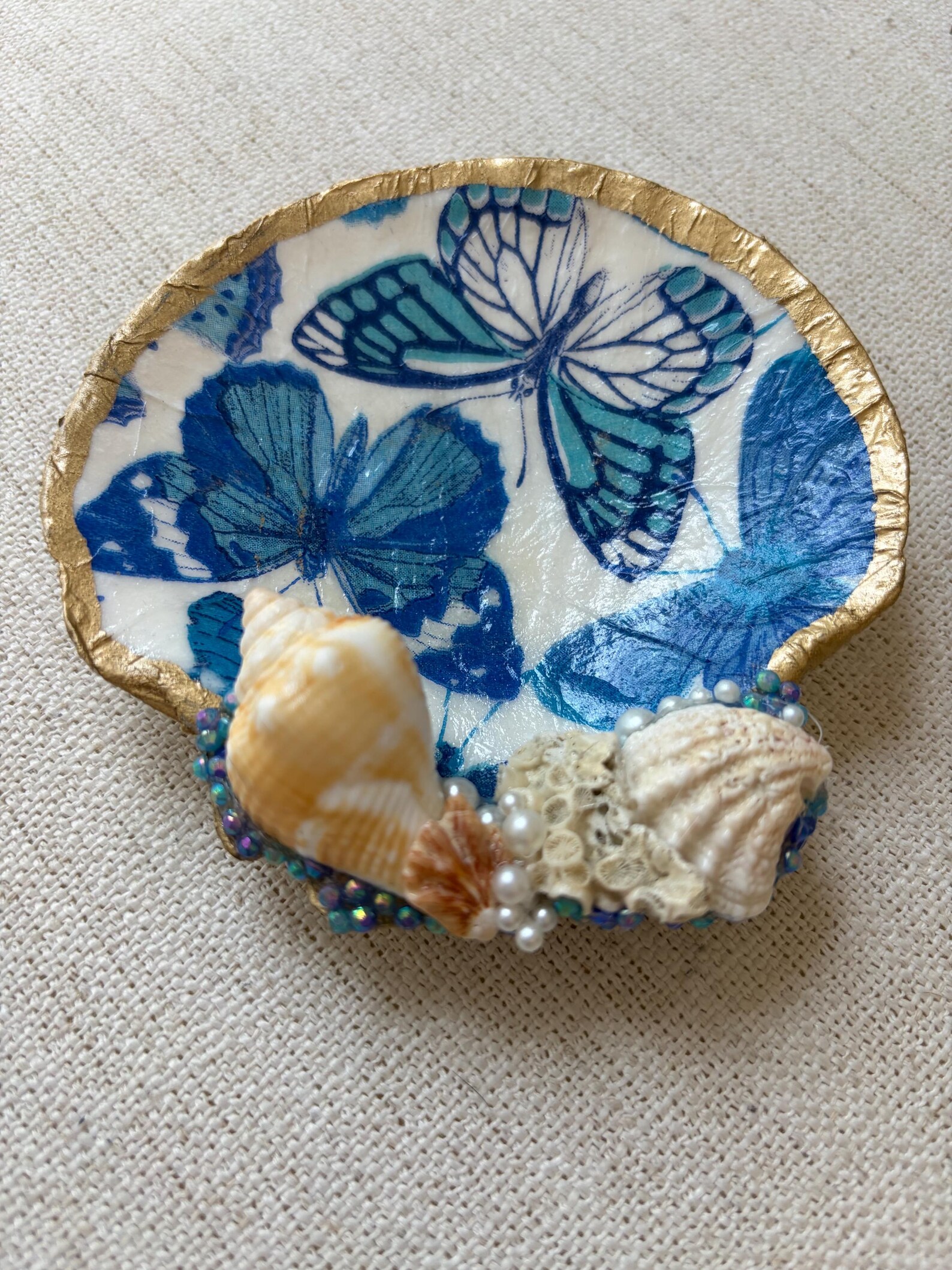 Scallop Shell Jewelry Dish | “the Blue Butterfly Shell” | Coastal ...