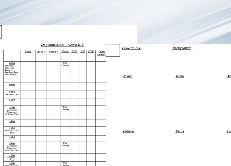 Neuro ICU Daily Organization Chart - Etsy