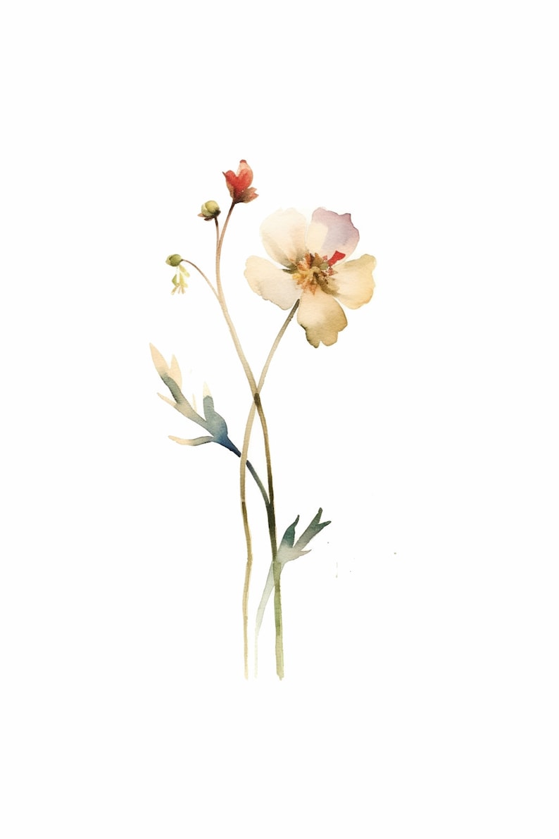 Set of 4 Watercolor Flower Stems Art Print of Flowers Digital Flower ...