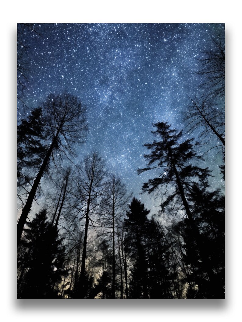 Starry Sky Night Time Nighttime Stars Forest | Digital Art Print | High ...