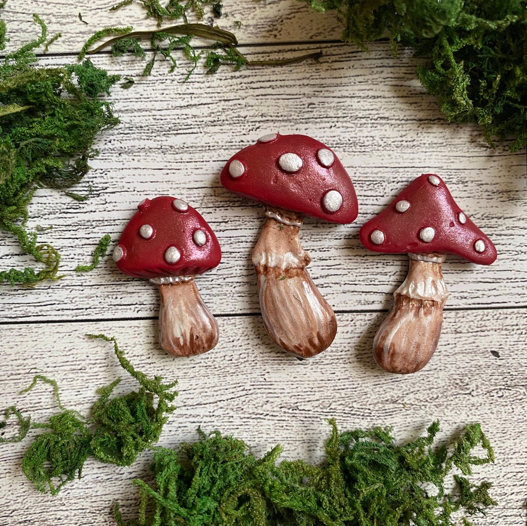 3 Piece Mushroom Magnet Set red - Etsy