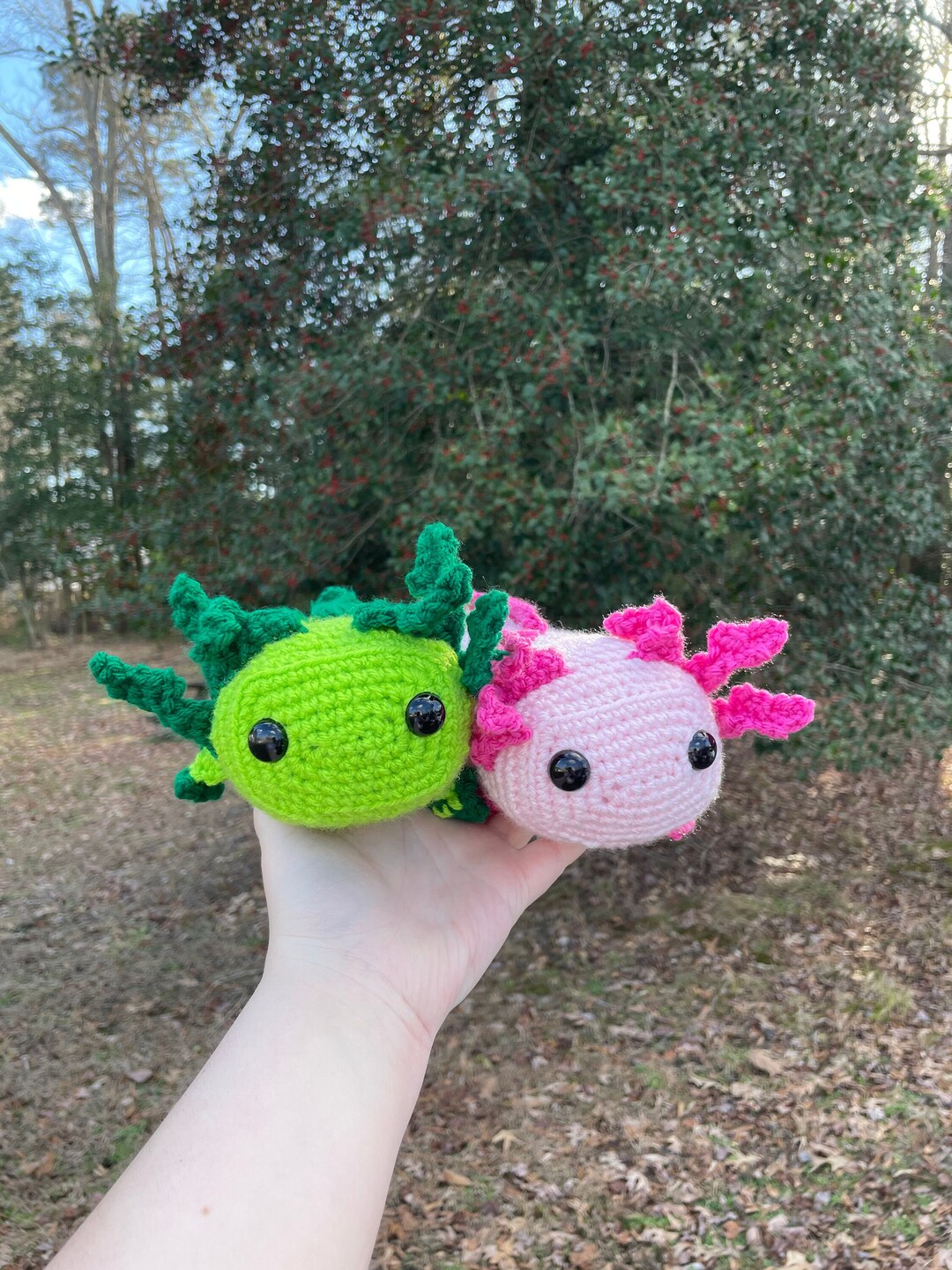 Crochet Minecraft Axolotls - Etsy