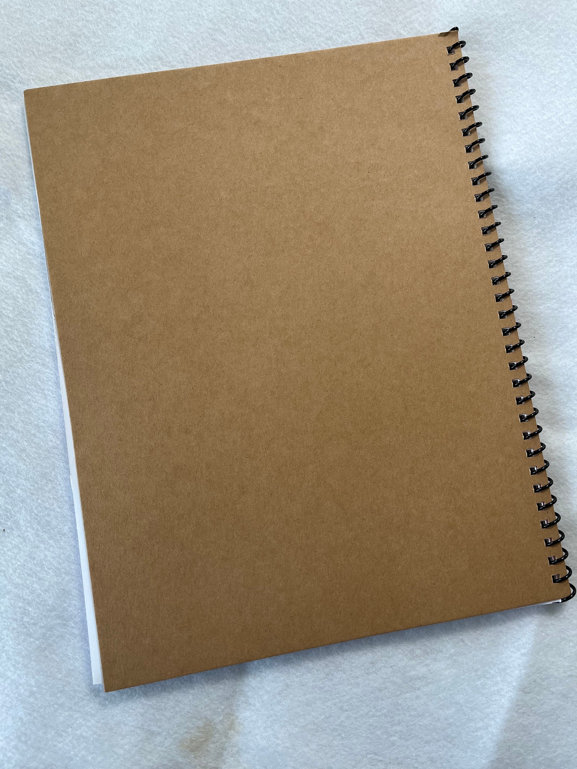 Monthly Budget Tracker - Etsy