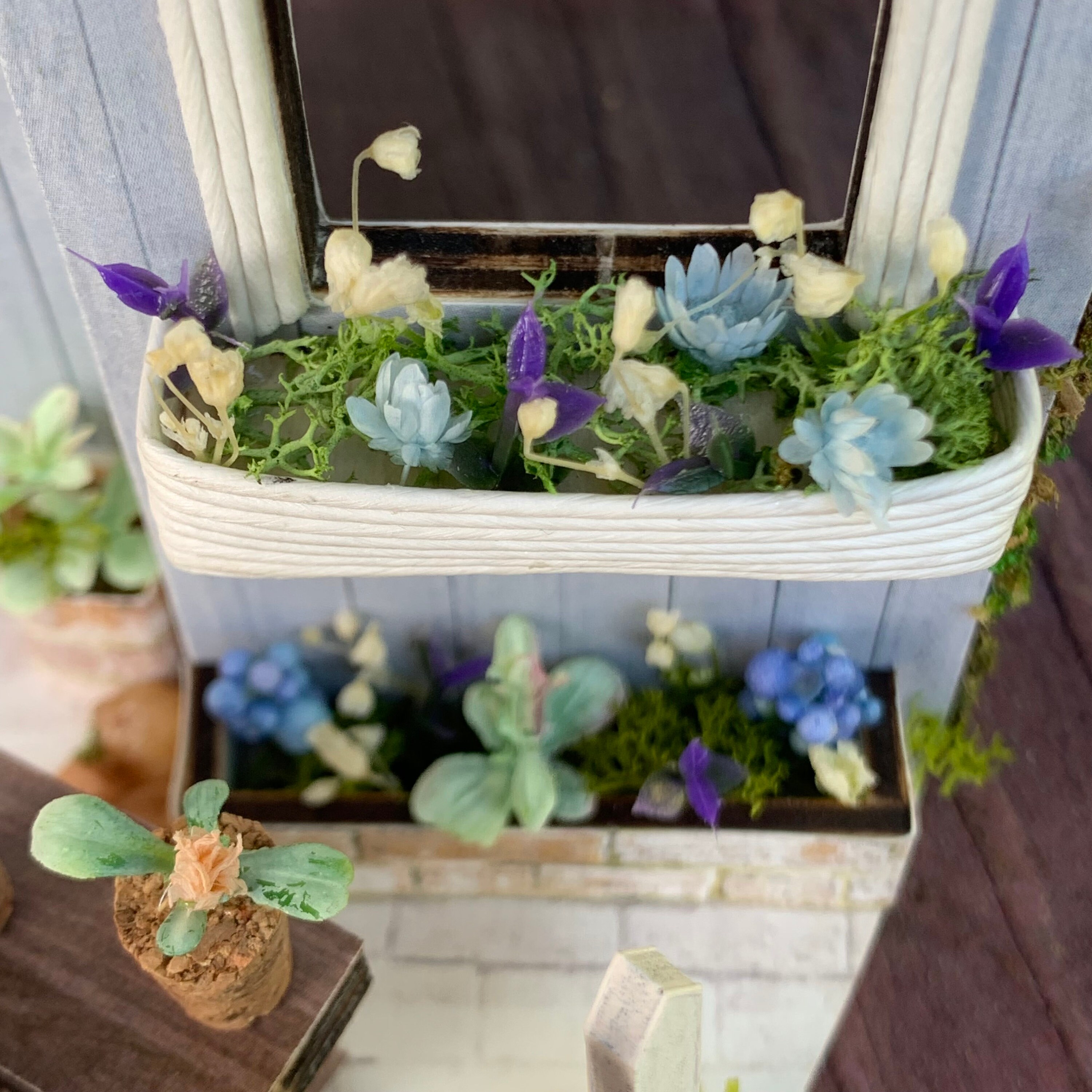 Miniature Garden Diorama Patio in Blue With Flowers, Clay Pot, Watering ...