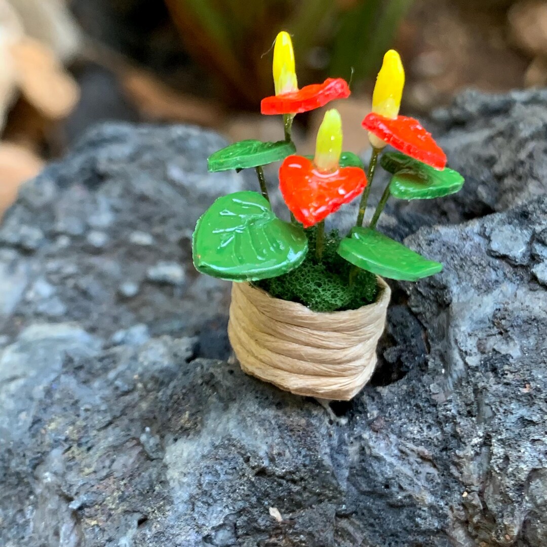 Miniature Red Anthurium Plant Measures 1" High on Burlap Mat 1/6 or 1/ ...