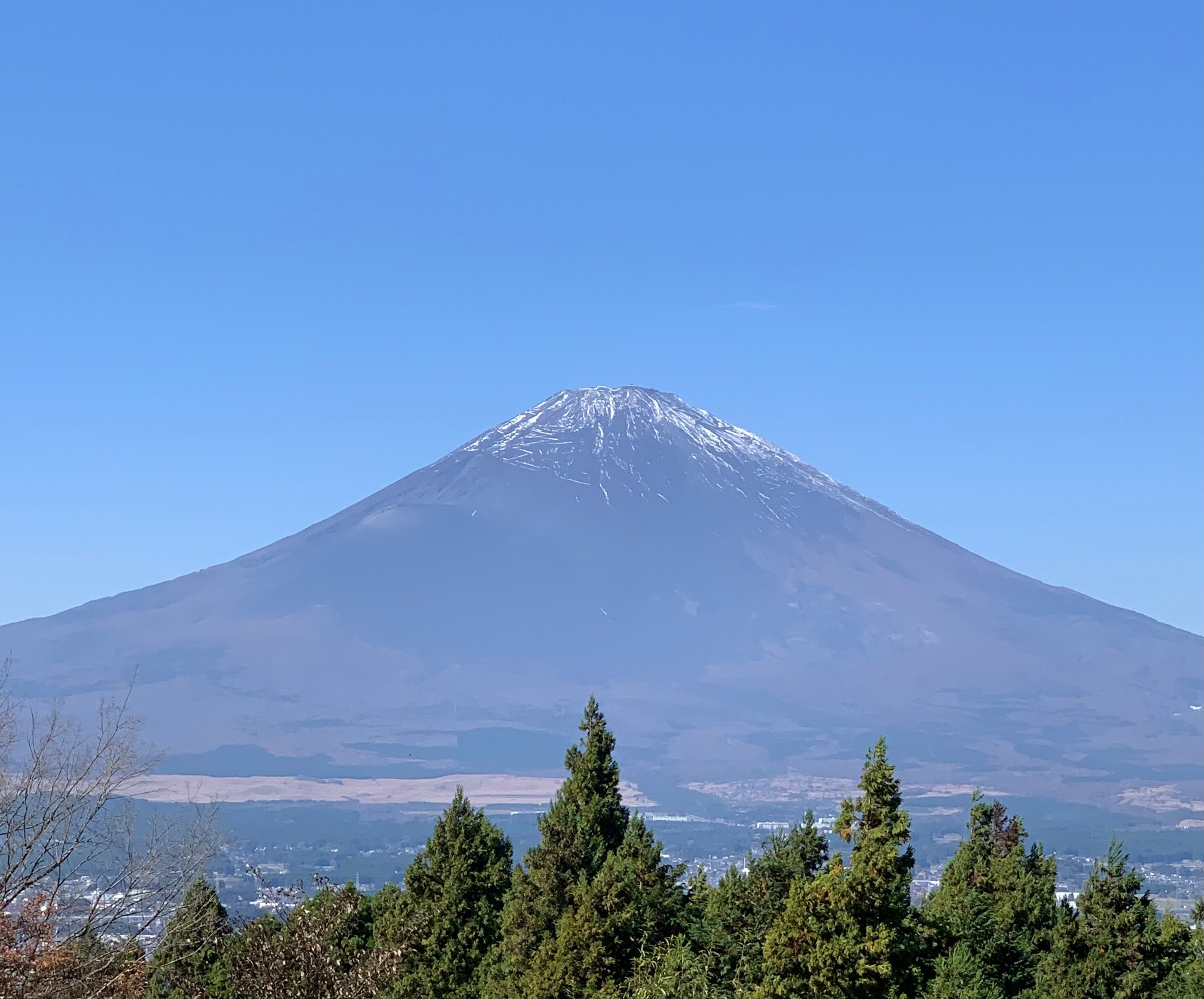 Fuji's Tiny Treasures