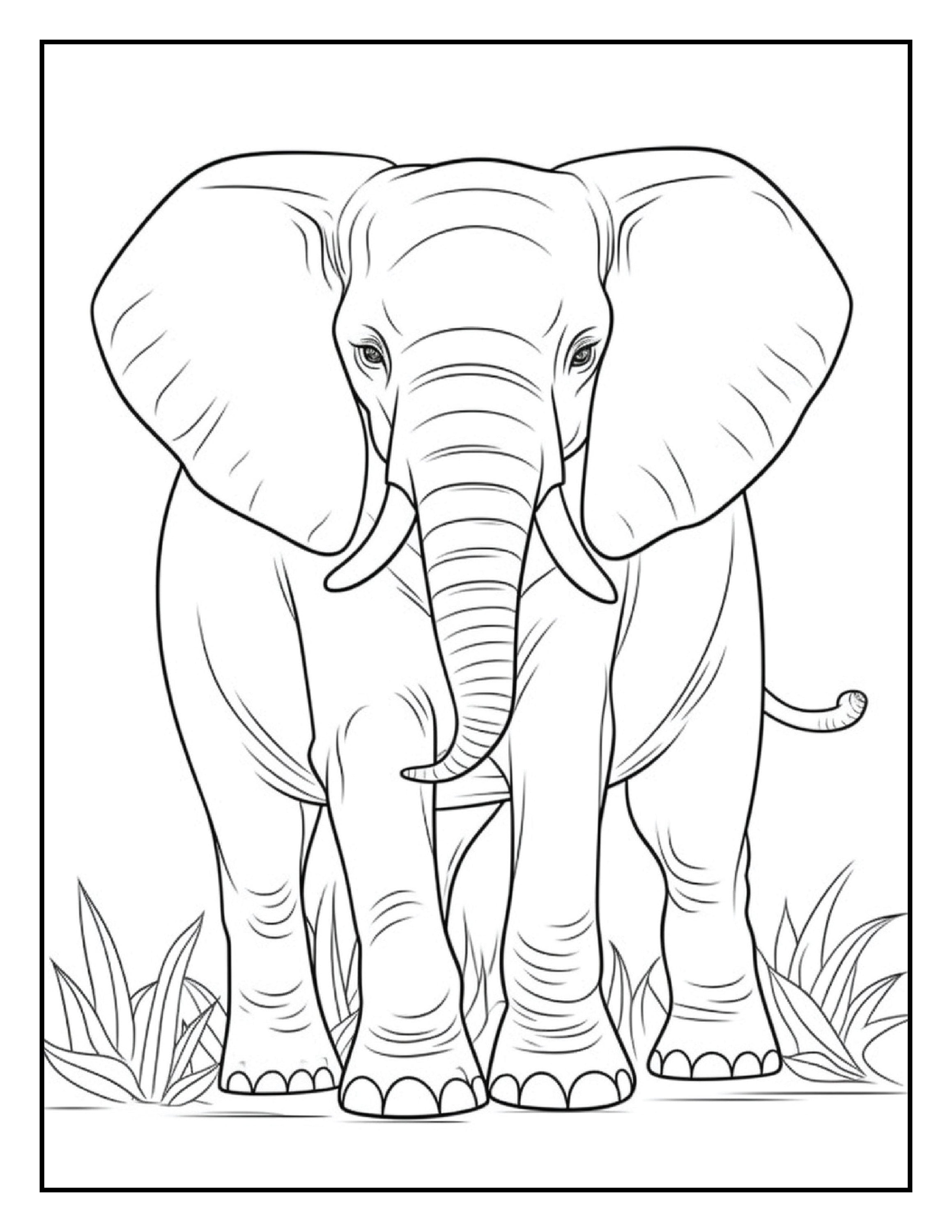 100 Wild Animal Coloring Pages for Kids - Etsy