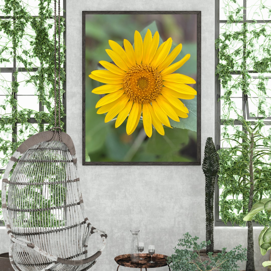 Yellow Sunflower Photography Print Flower Wall Art Sunflower Shelf ...