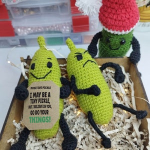 Dill Pickle Crochet Pattern With PRINTABLE Positive Pickle Display ...