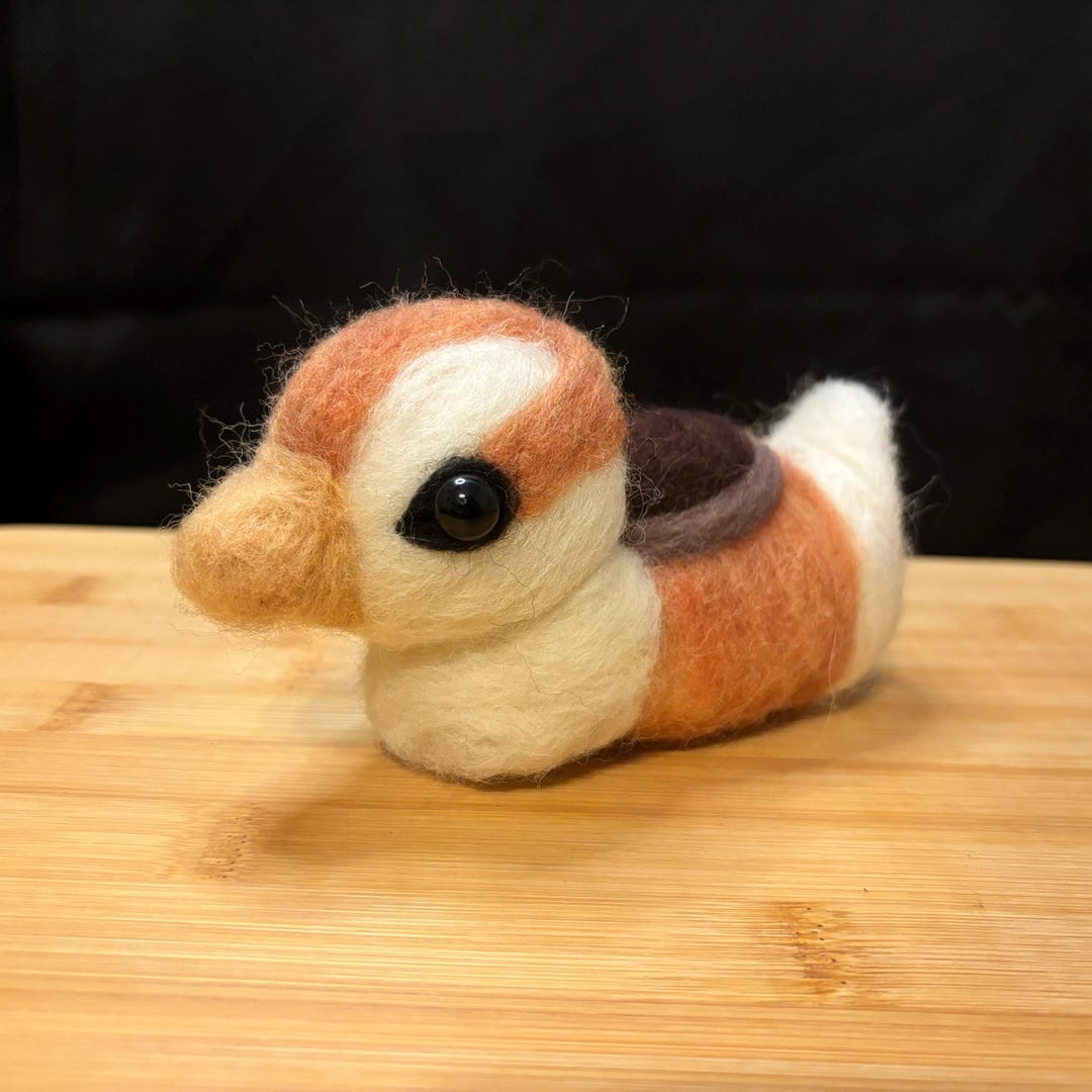 Handmade Needle Felted Turtle Duck - Etsy