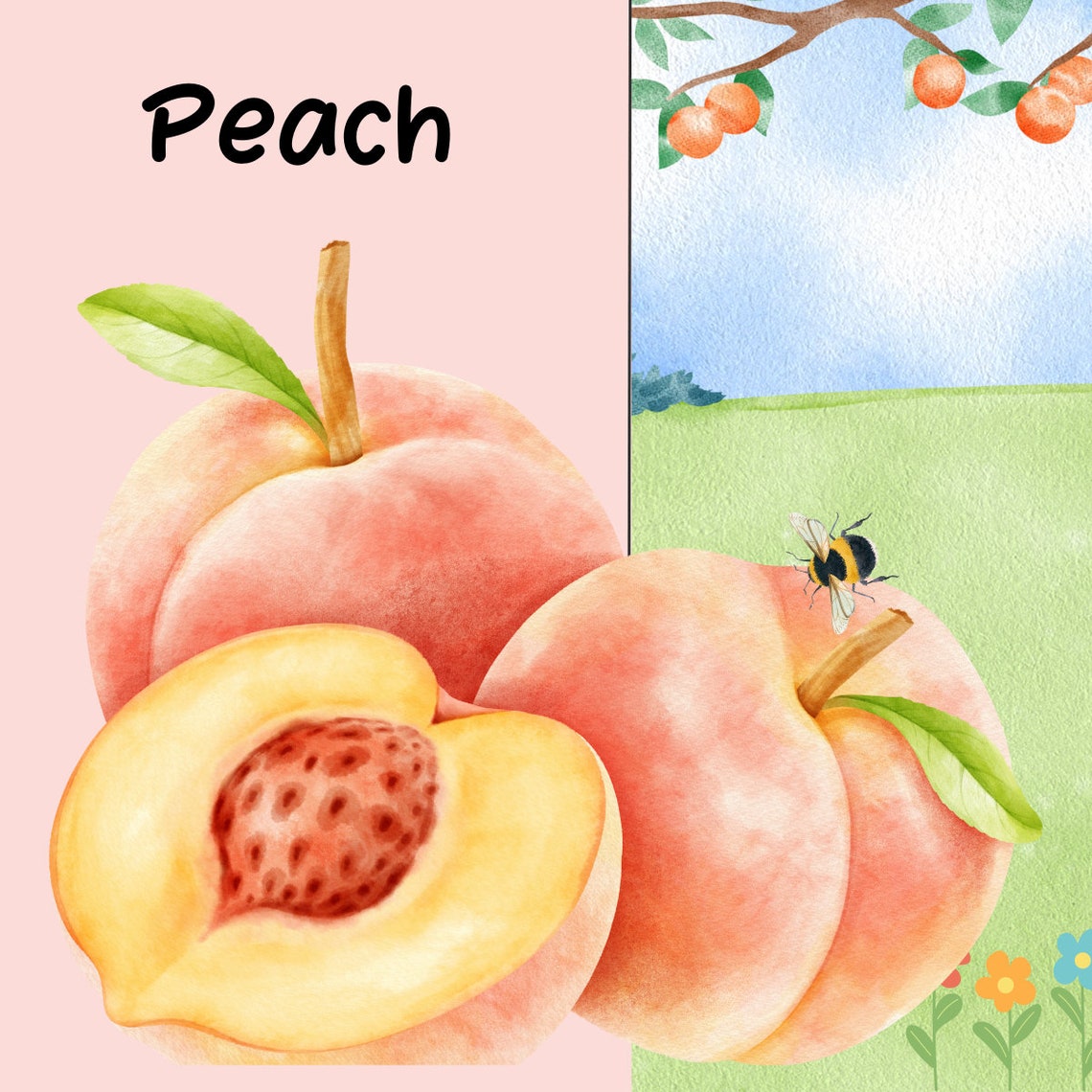 Digital Kids Learning Bedtime Story Pre-k Reading Kindergarten Book ...