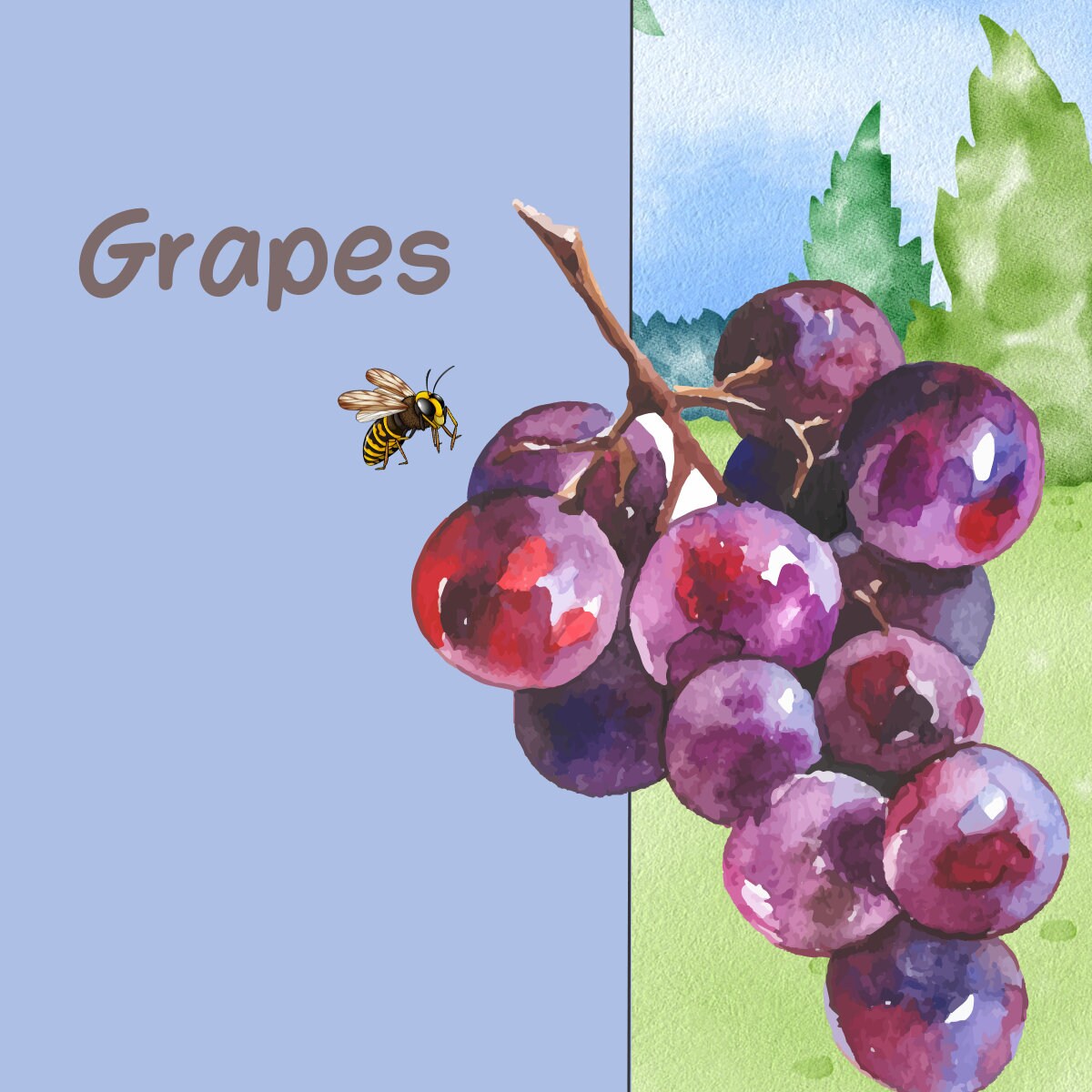 Digital Kids Learning Bedtime Story Pre-k Reading Kindergarten Book ...