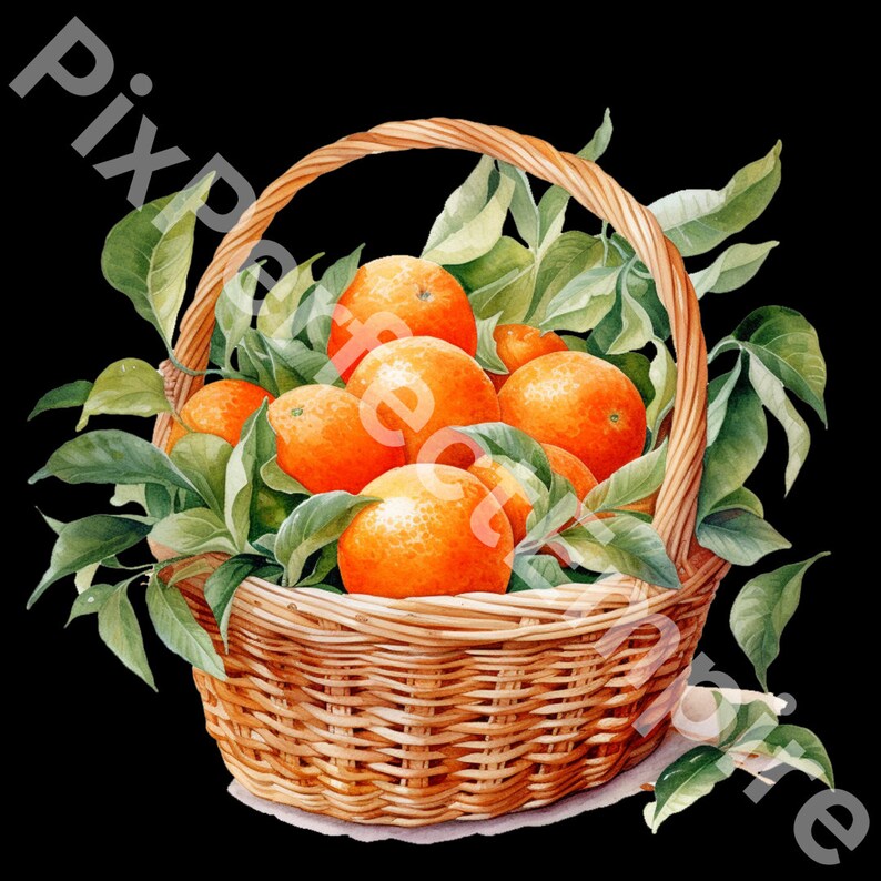 Watercolor Oranges Clipart - Digital Png Citrus, Graphics for Instant ...