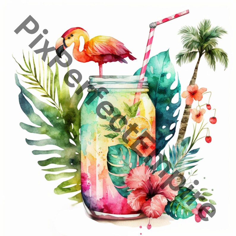 Tropical Cocktail Clipart: Summer Fruit Drinks (PNG Digital Clipart) - Etsy