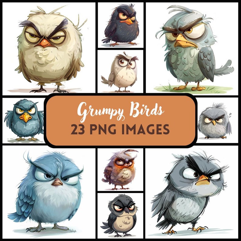 Grumpy Bird Clipart Bundle, Funny Cute Cartoon Bird Png Bundle ...