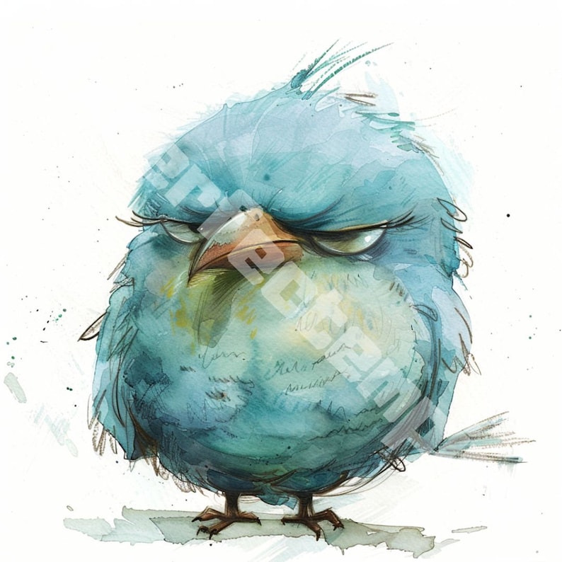 Grumpy Bird Clipart, Cute Fluffy Bird, Digital Clipart, Watercolor ...