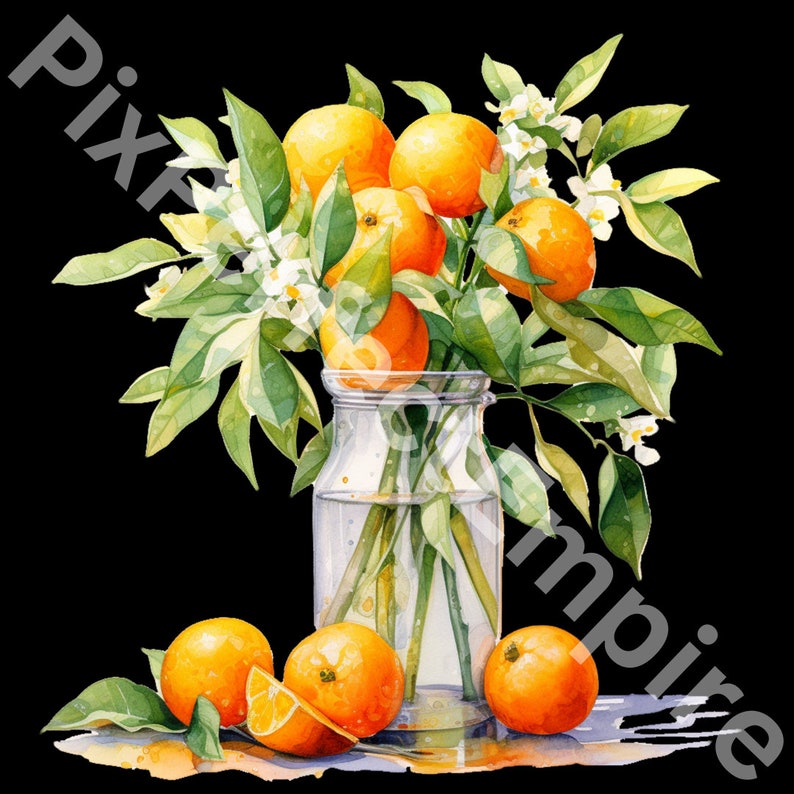 Watercolor Oranges Clipart - Digital Png Citrus, Graphics for Instant ...