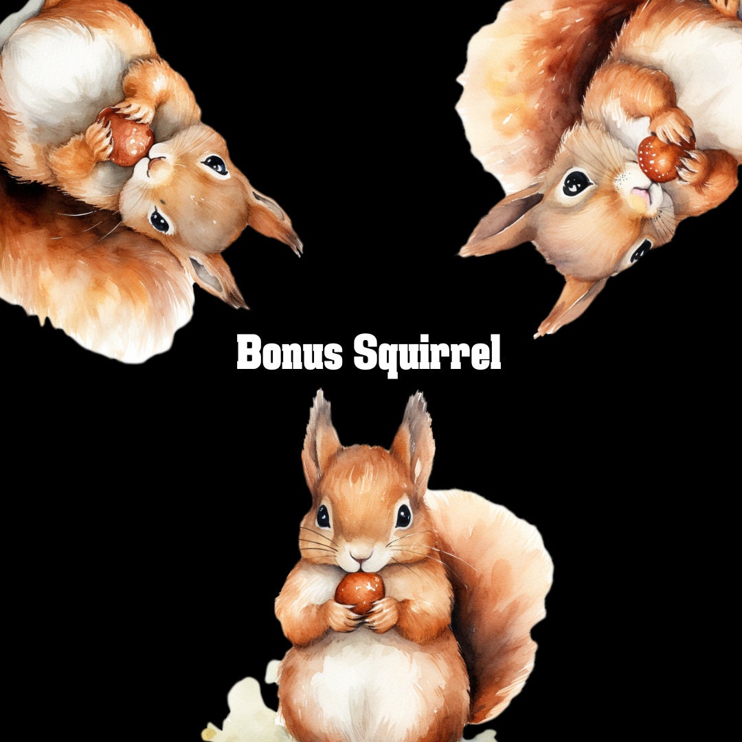 30 Herbst Blatt Clipart, Aquarell Clipart, Herbst Saison, Scrapbook ...