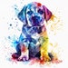 Watercolor Rainbow Dog Clipart: 32 PNG Graphics (commercial Use) - Etsy