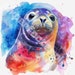Watercolor Rainbow Seal Clipart, Colorful Seal Illustrations, Rainbow ...