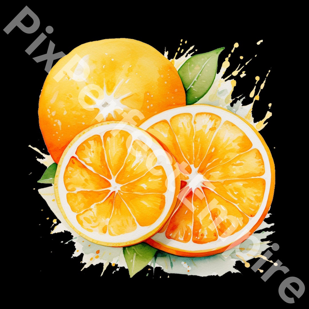 Watercolor Oranges Clipart - Digital Png Citrus, Graphics for Instant ...