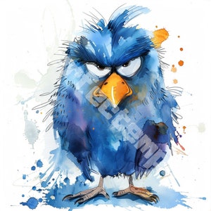 Grumpy Bird Clipart, Cute Fluffy Bird, Digital Clipart, Watercolor ...