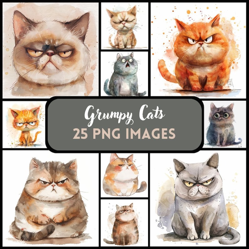 Grumpy Cat Clipart, Watercolor, Funny Cats Watercolor, 24 Designs, 300 ...