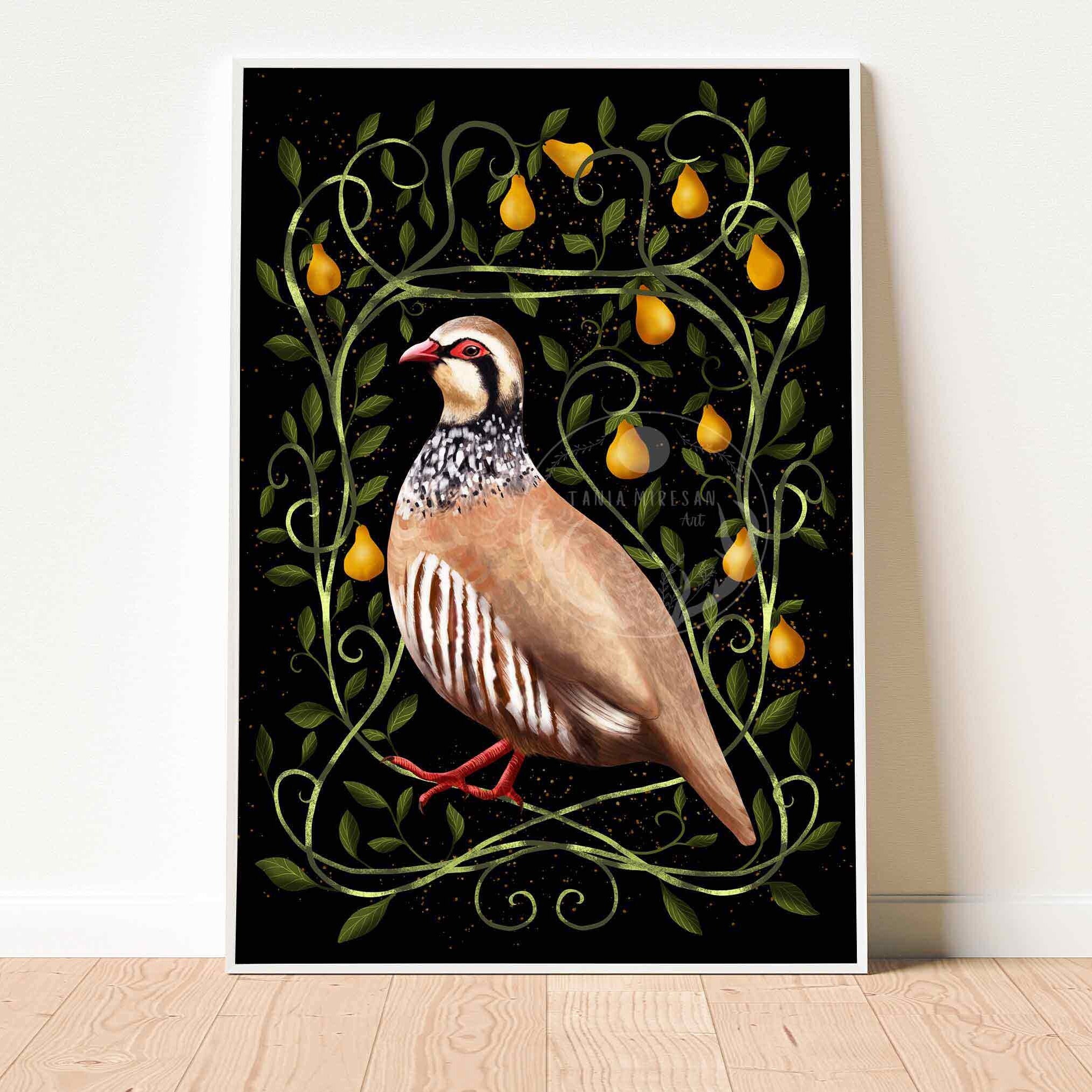 Partridge in a Pear Tree Fine Art Print, Partridge Bird Illustration ...