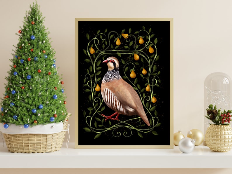 Partridge in a Pear Tree Fine Art Print, Partridge Bird Illustration ...