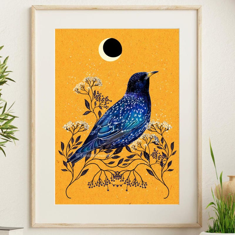 Starling Art - Etsy
