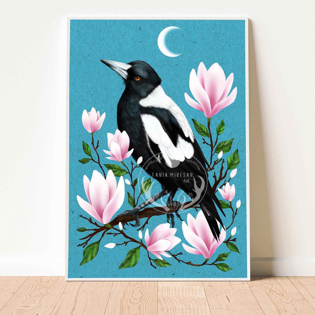 Magpie Fine Art Print, Australian Magpie Wall Art, Magpie and Flowers ...