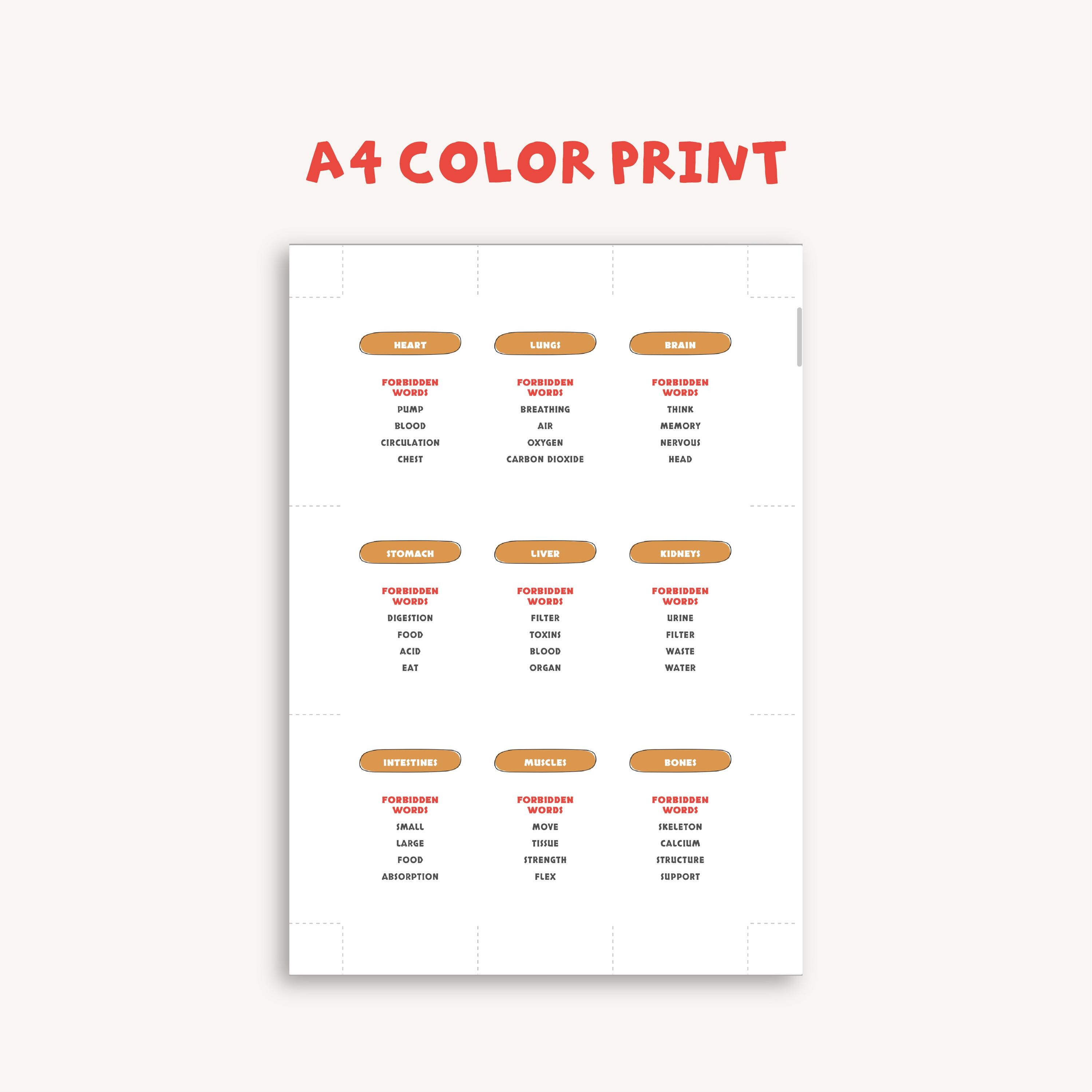 Human Body Taboo Game: Printable Science Flashcards (A4) - Etsy