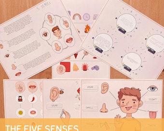 Five Senses Sorting Activity Printable, 5 Senses Sorting, Kids 5 Senses ...
