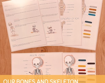 Buy Skeleton Anatomy Activity | Printable Human Bones Lesson | Moving ...