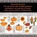 Fall Bulletin Board Kit, Thanksgiving Bulletin, Classroom Fall Decor ...