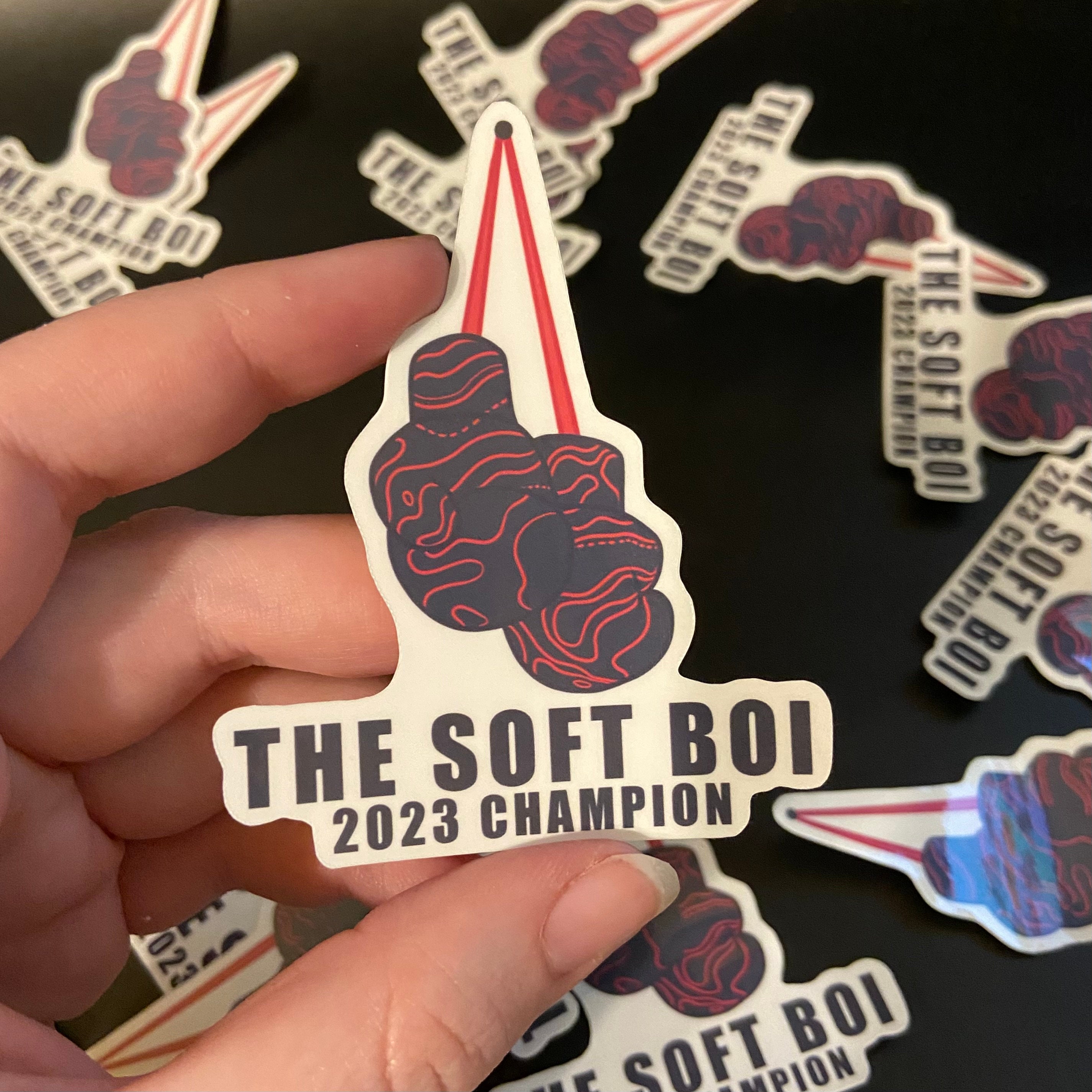 Ethan "soft Boi" Nestor CC2 Champion 2023 Sticker - Etsy