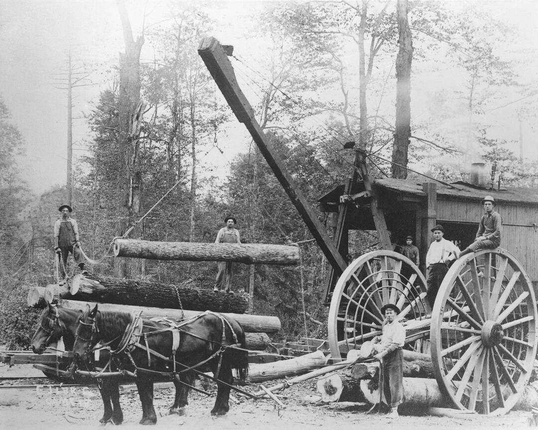 Loading Logs Onto a Katydid or Big Wheel. - Etsy