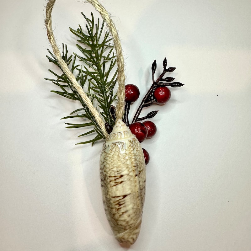 Shell Ornaments - Etsy