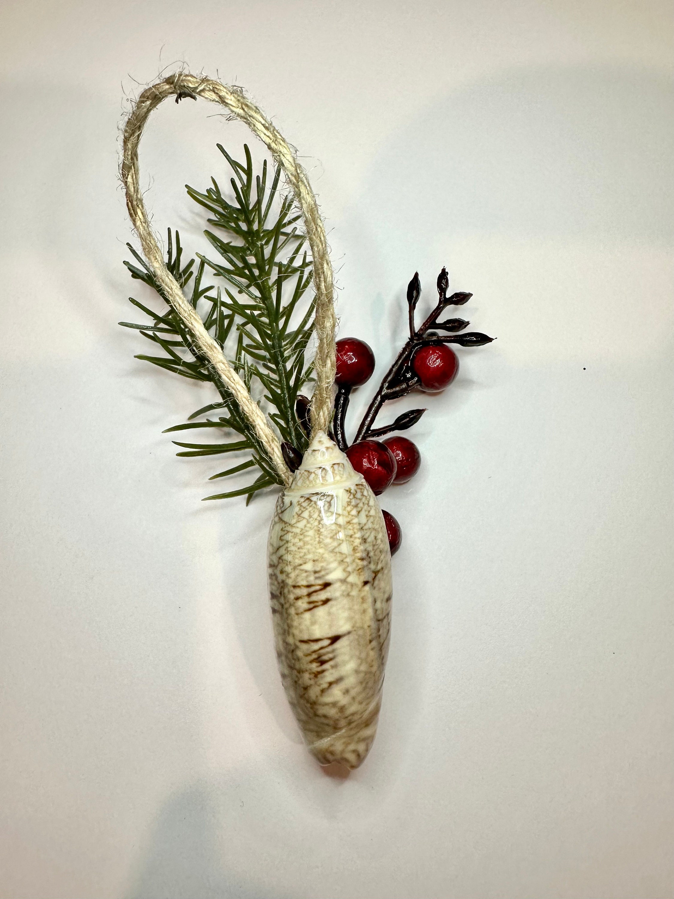 Olive Shell Ornament - Etsy