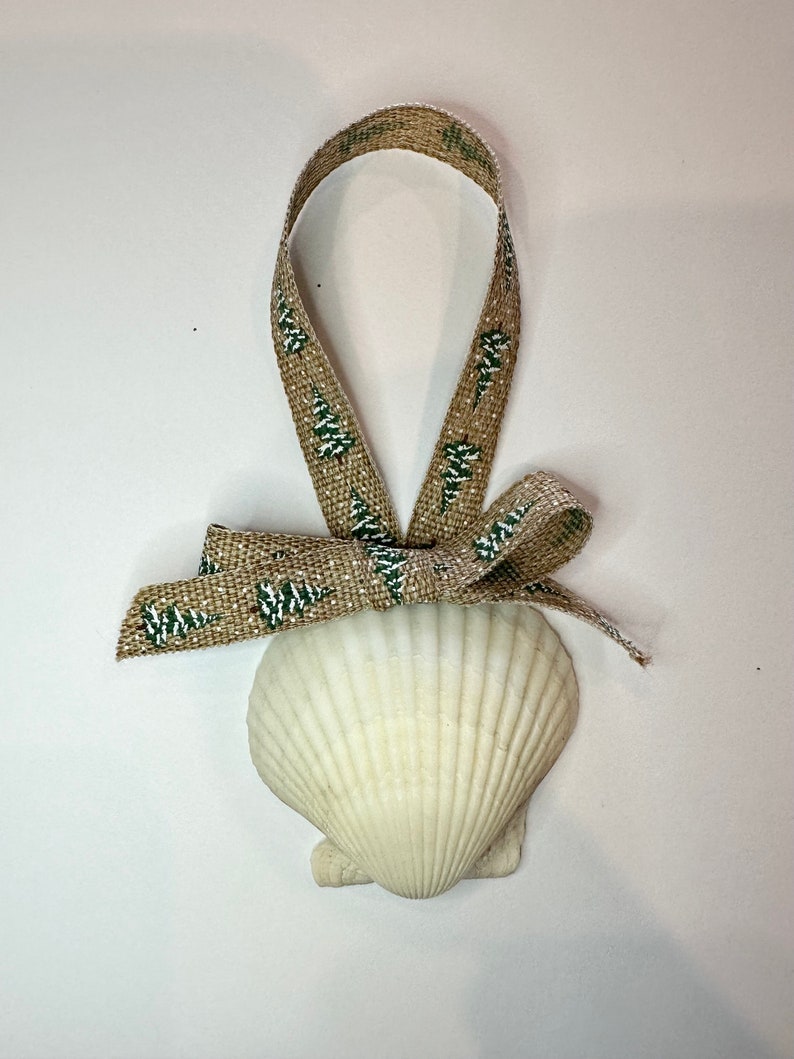 Scallop Shell Ornament - Etsy