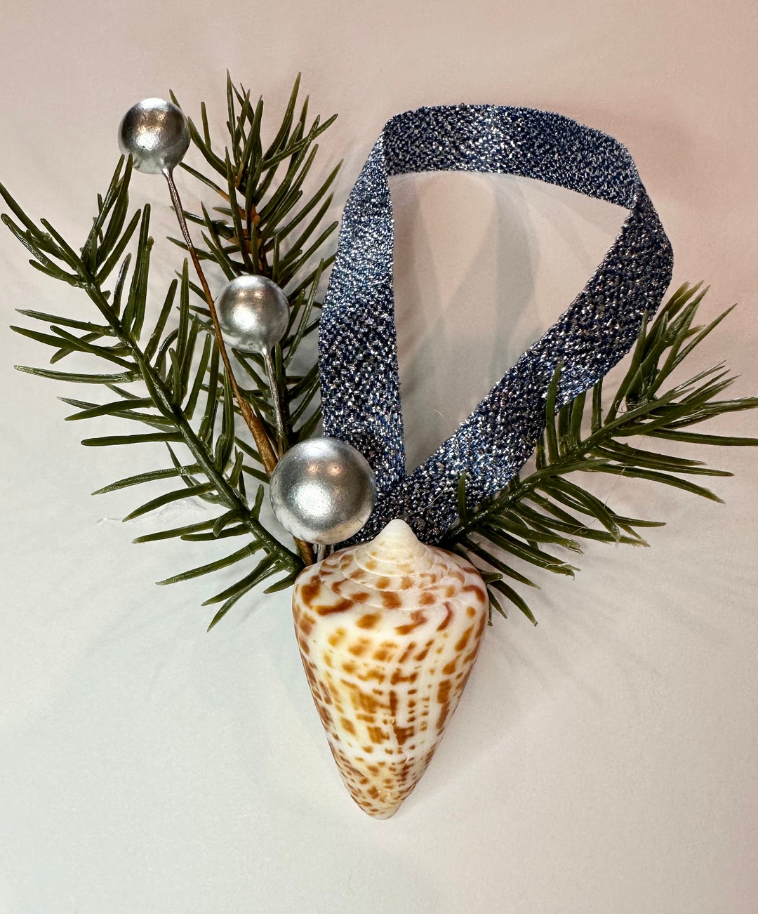 Cone Shell Ornament - Etsy
