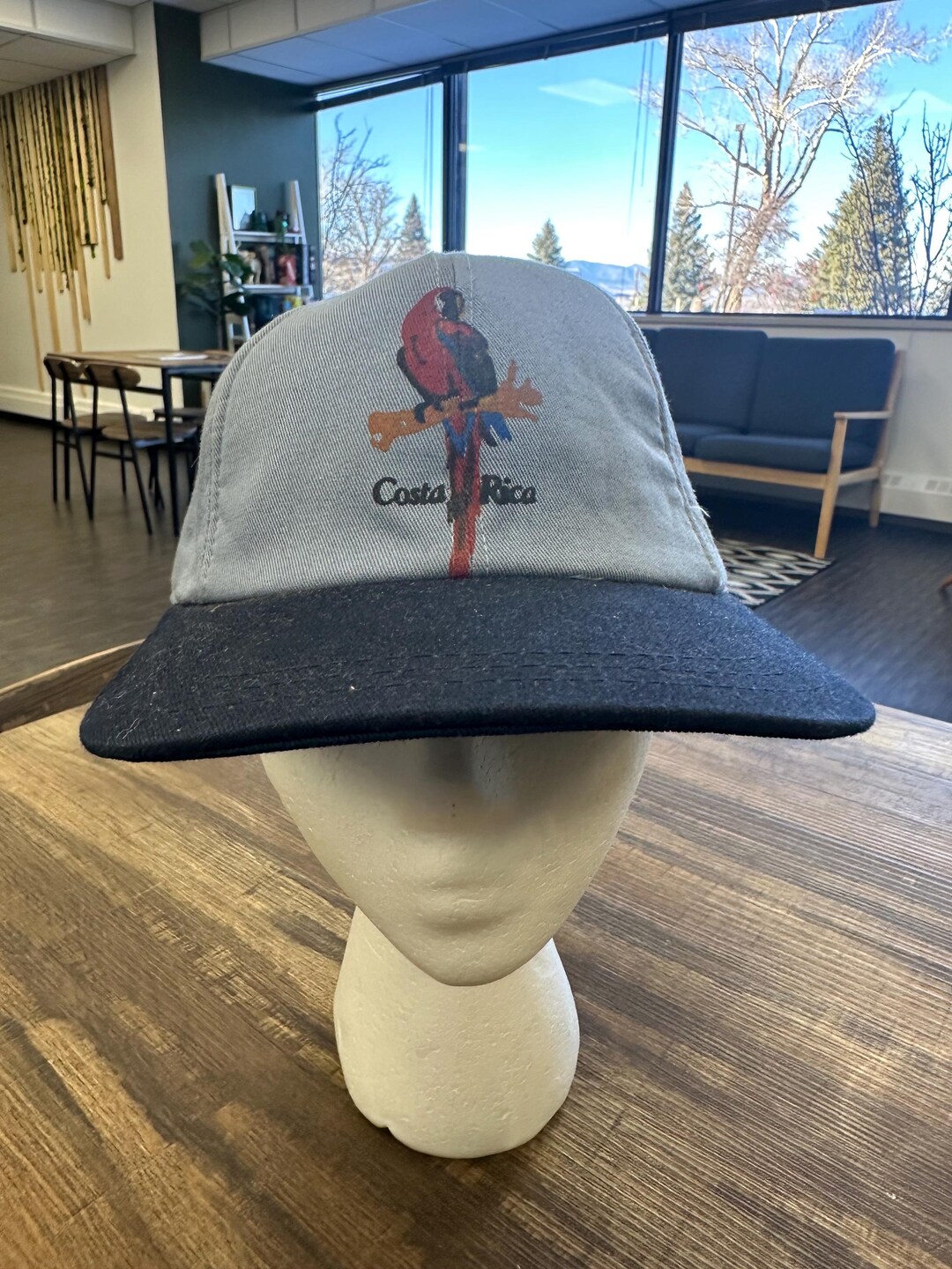 Costa Rica Baseball Hat Adjustable Blue Cap Vacation Souvenir - Etsy