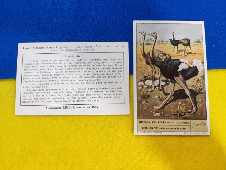 Charles-joseph, Birds That Cannot Fly Liebig Meat Cards Set of 6 French ...