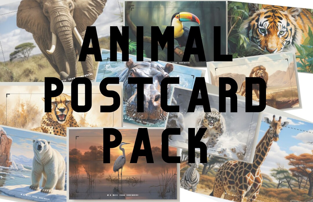 Snapshots - Animal Postcard Pack of 10 - Safari Water Big Cats Elephant ...
