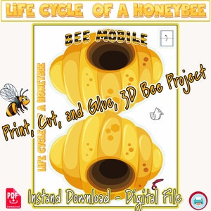 Bee Life Cycle Mobile: Cut & Paste Activity Kit (digital Download) - Etsy